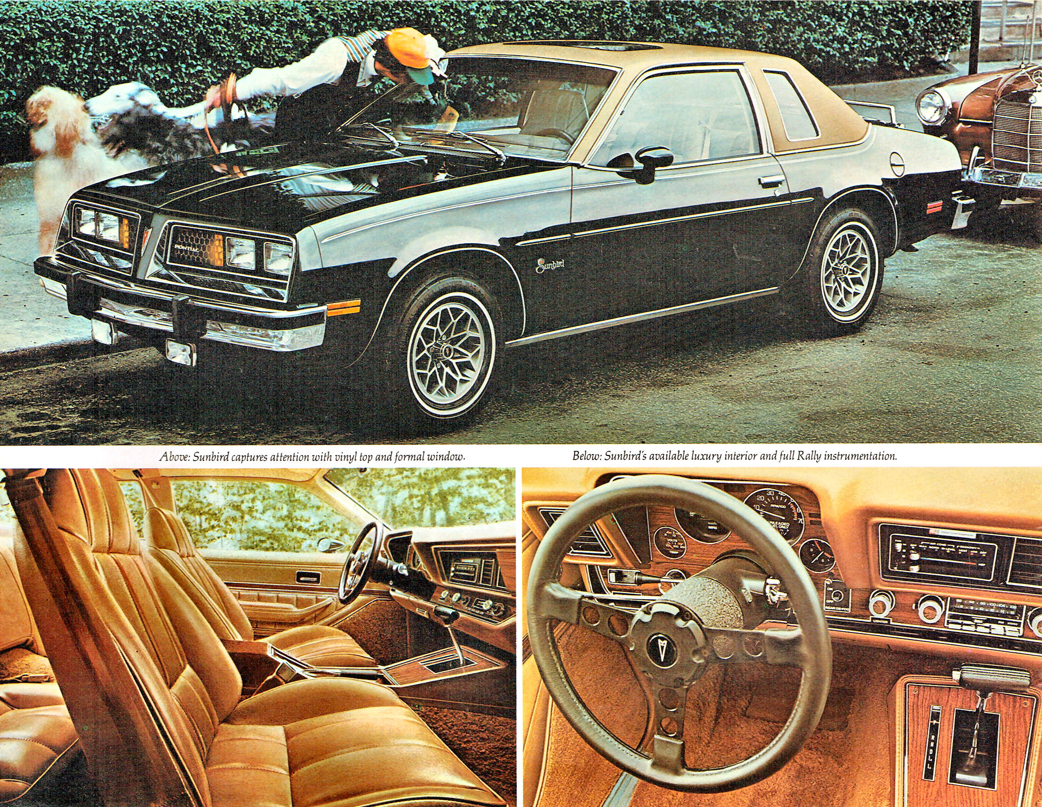 The Old Car Manual Project Brochure Collection