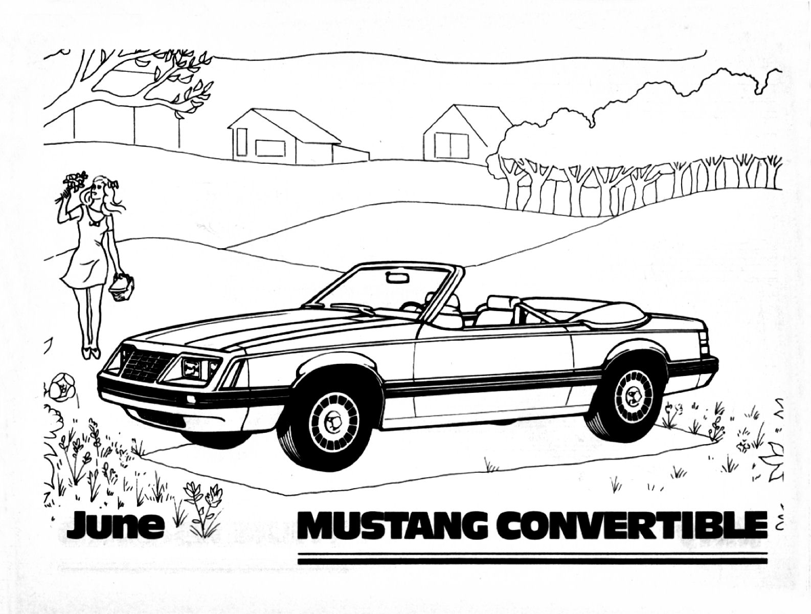 The Old Car Manual Project Brochure Collection